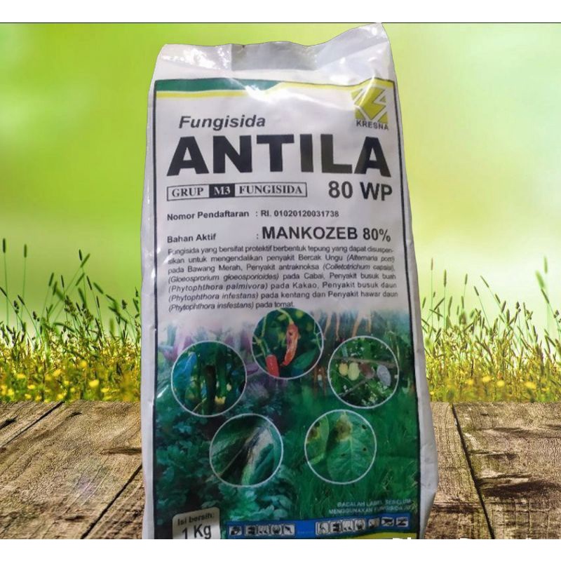 Jual Fungisida ANTILA 80WP (1kg) | Shopee Indonesia
