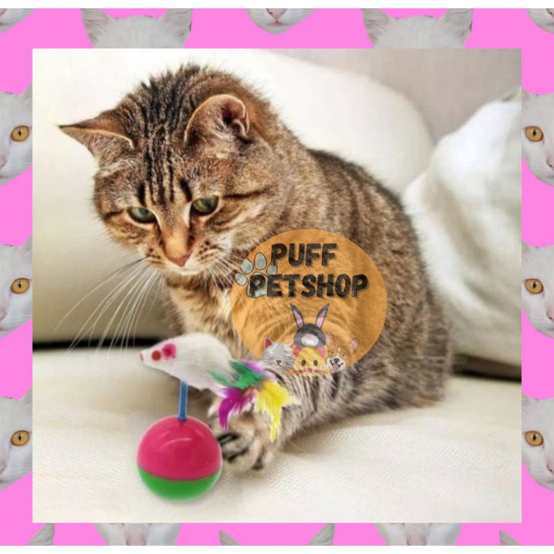 Jual Mainan Kucing Anjing / Bola Tikus Goyang / Bola Kucing / Mainan ...