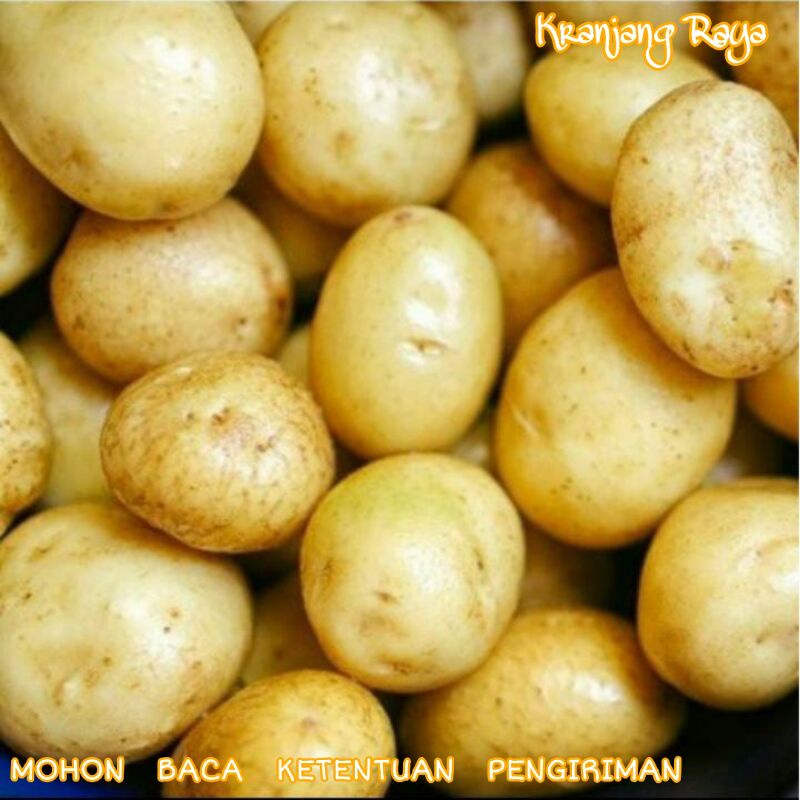 Jual Kentang baby / baby potato | Shopee Indonesia