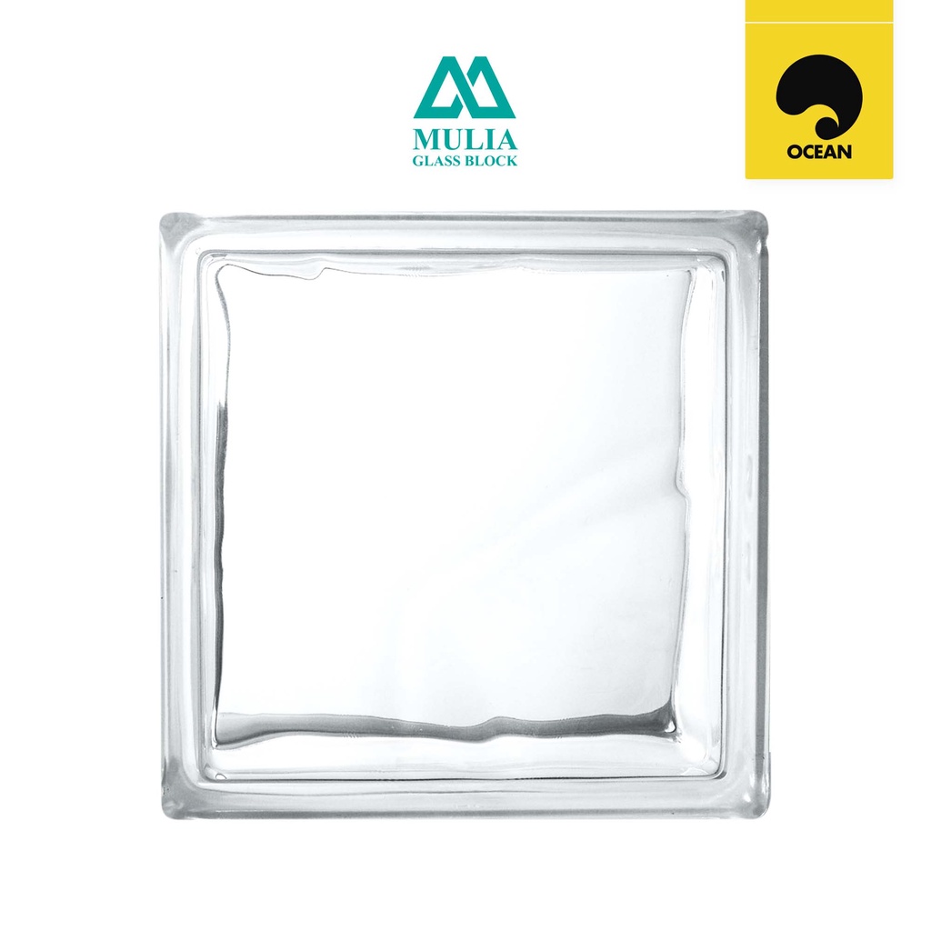 Jual GLASS BLOCK DINDING MULIA / GLASS BLOK KACA RUMAH | MOTIF | Shopee ...