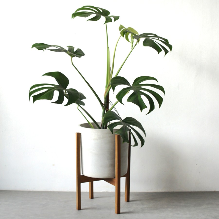 Jual NATURAL CONCRETE POT - CYLINDER 28 + JATI STANDING PLANTER | Pot ...