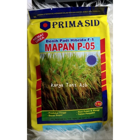 Jual Benih Bibit Padi MAPAN P 05 kemasan 1kg Dijamin ORIGINAL 100% (Exp ...