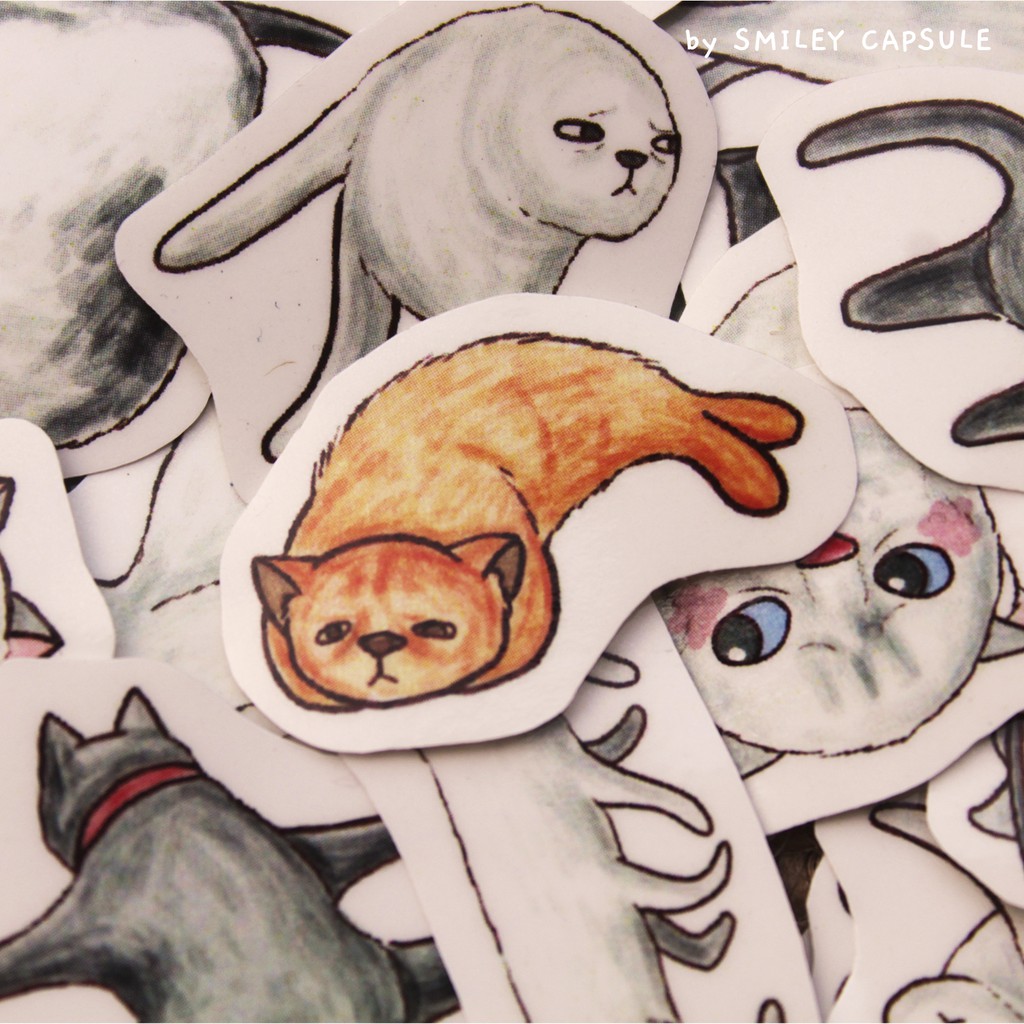 Jual Kucing Aneh jelek Lucu meme Humor Stiker | Shopee Indonesia