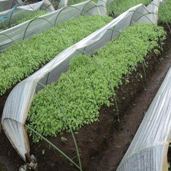 Jual Tunnel Pipe 11mm x 210cm 7S Takiron Alat Sungkup Tanaman Ajir ...