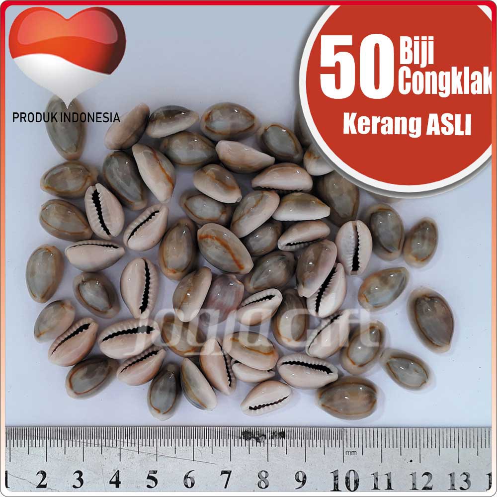 Jual Biji Congklak dari Kerang Asli | Shopee Indonesia