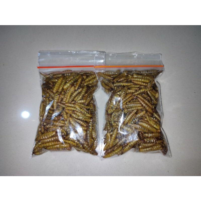 Jual Snack Hamster Dried Worm Ulat Kering 20g | Shopee Indonesia