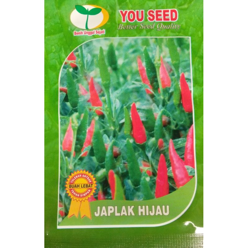 Jual Benih Rawit JAPLAK HIJAU you seed(bisa COD) | Shopee Indonesia