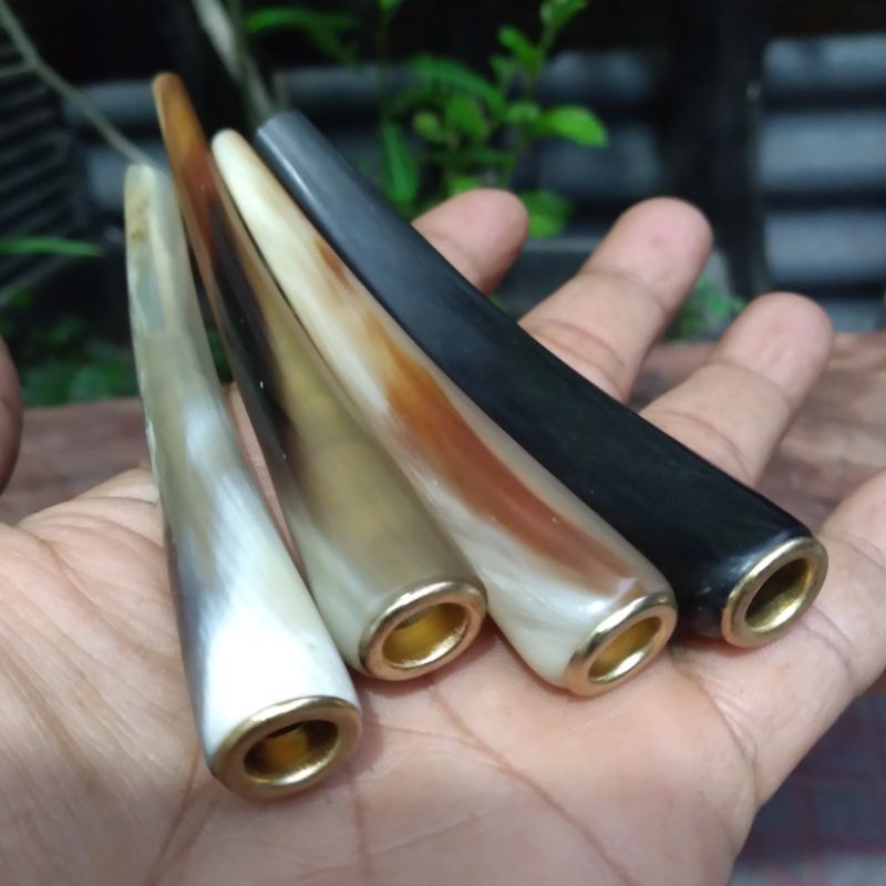 Jual pipa once tanduk kerbau bule 10cm | Shopee Indonesia