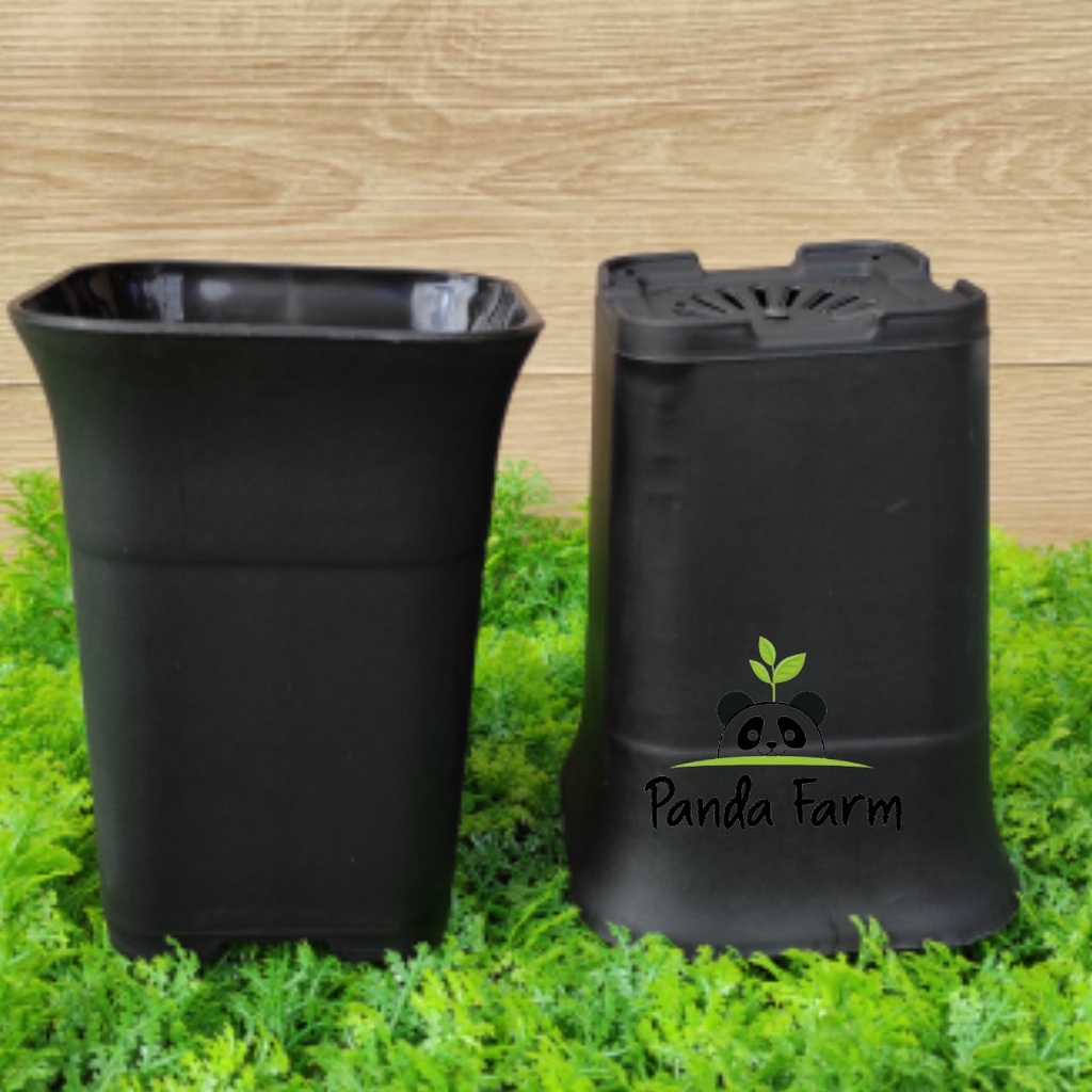 Jual Pot Tanaman Pot Bunga Pot NKT Kotak 10 Berkualitas Dia 10cm ...