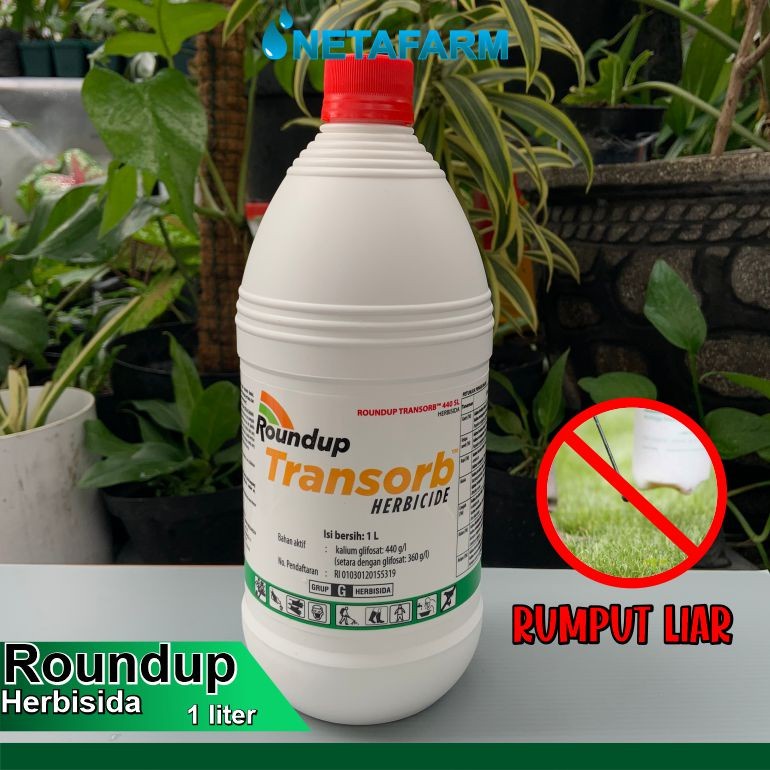 Jual Roundup TRANSORB 440 SL Pembasmi Rumput liar sampai ke akar - 1 ...
