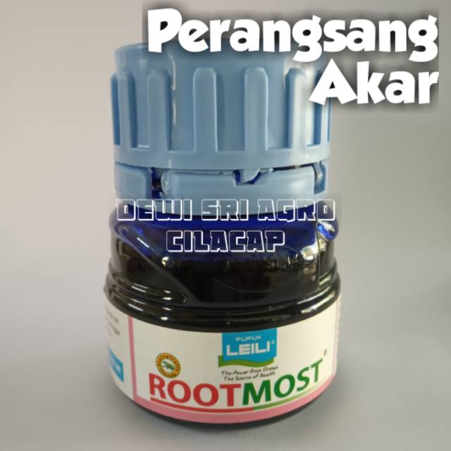 Jual Perangsang Akar RootMost kemasan 100 ml | Shopee Indonesia