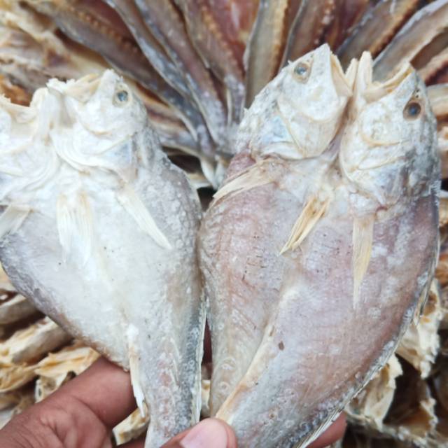 Jual Ikan asin samge(gulamag) | Shopee Indonesia