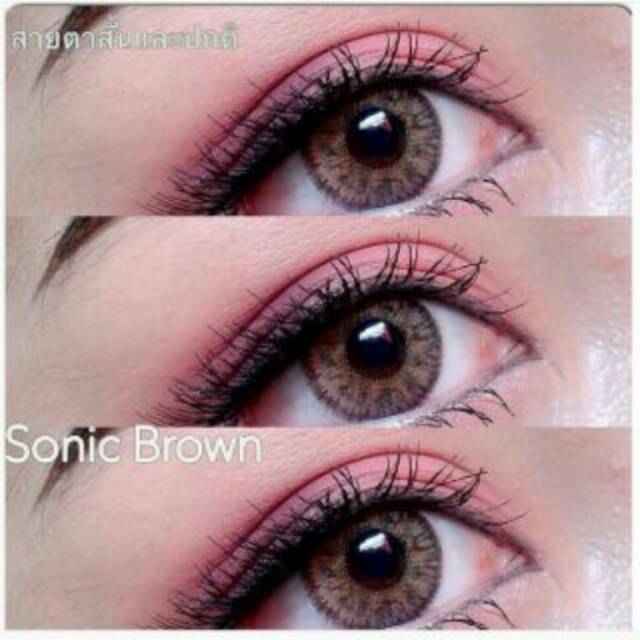 Jual Sonic brown | Shopee Indonesia