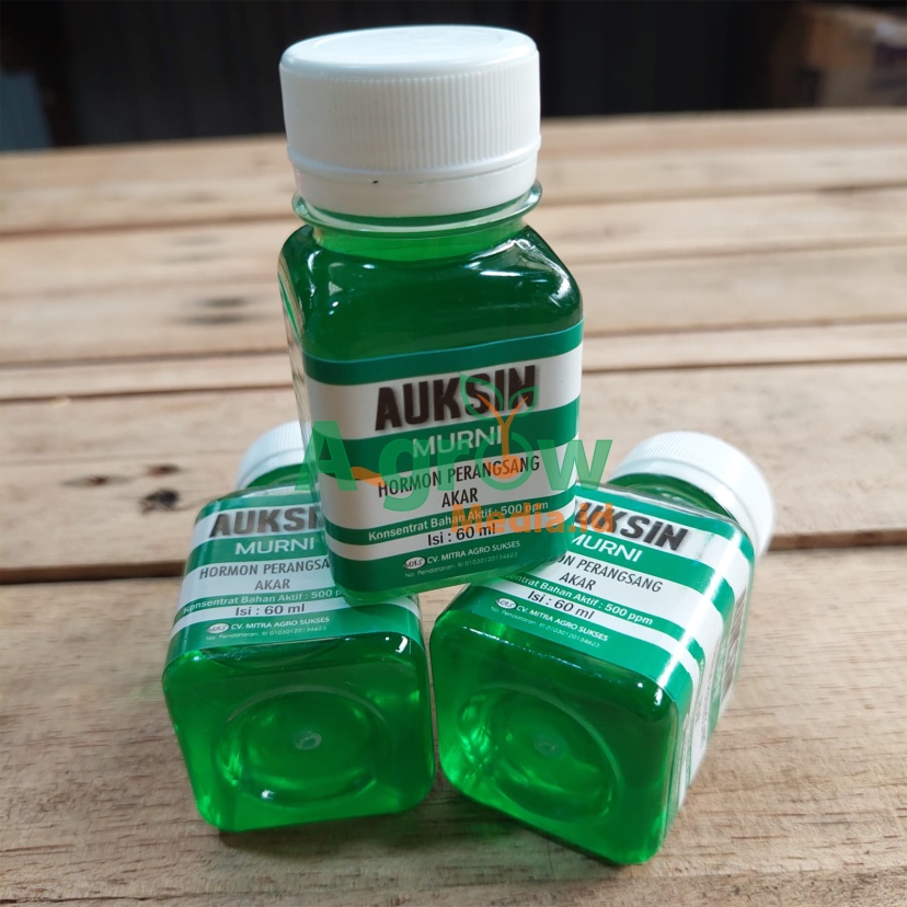 Jual Pupuk Hormon Auksin Murni 60ml ZPT Pemacu Pertumbuhan Akar Semua ...