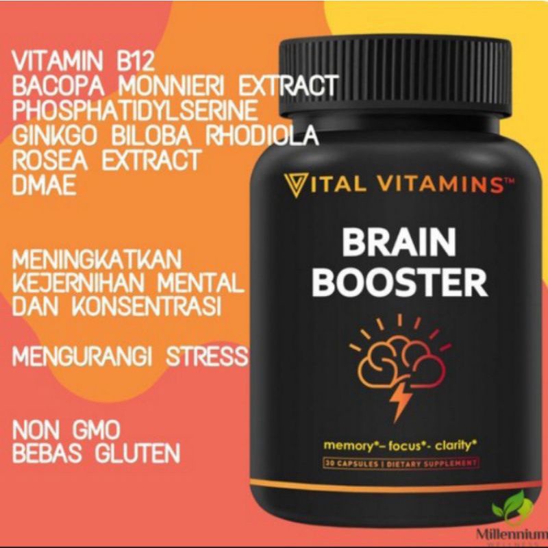Jual BRAIN BOOSTER VITAMIN OTAK DAN DAYA INGAT HERBAL ORIGINAL | Shopee ...