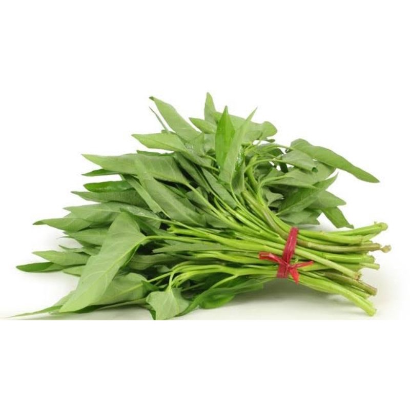 Jual Sayur kangkung 1 ikat | Shopee Indonesia