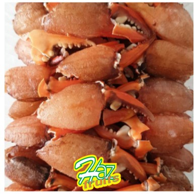 Jual CAPIT KEPITING 1 KILO | Shopee Indonesia