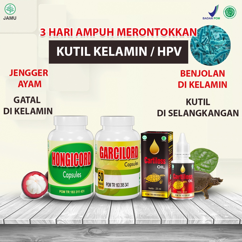 Jual HONGICORD GARCILORD CARTILOSS OIL Perontok segala jenis kutil dan ...