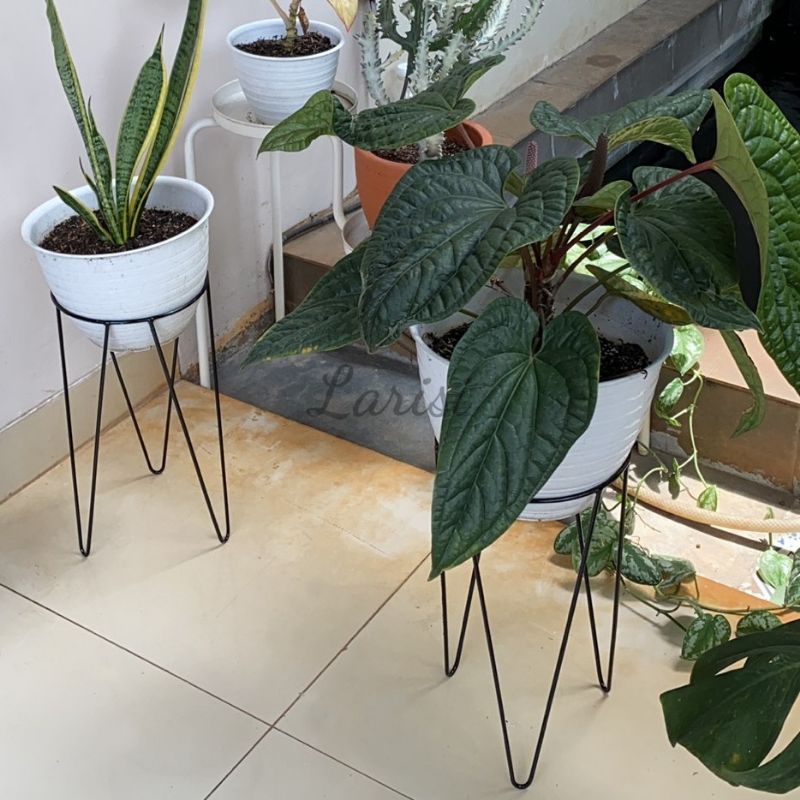 Jual STANDING POT Bunga BESI Rak Pot Tanaman Minimalis | Shopee Indonesia