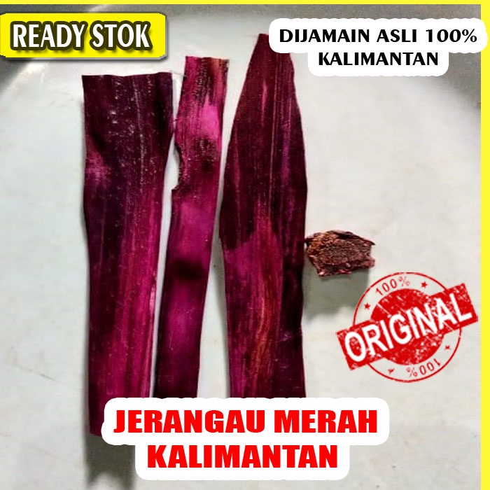 Jual Jerangau Merah Kalimantan Jerangau Asli Kalimantan Kering saset ...