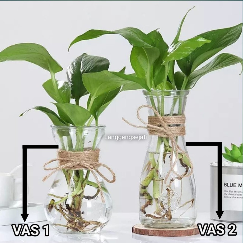 Jual VAS BUNGA KACA BENING TALI RAMI | VASE RUSTIC | VAS BUNGA KERING ...
