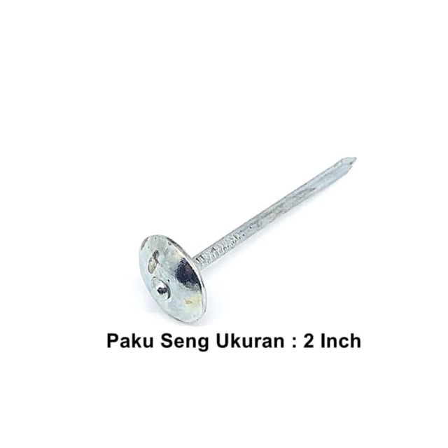 Jual Paku Payung Seng Asbes 2” (5cm) per 1/4 Kg | Shopee Indonesia
