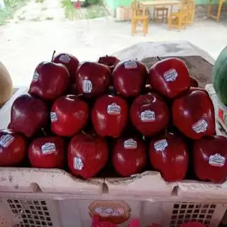 Jual Apel Merah Terlengkap & Harga Terbaru Juni 2024 | Shopee Indonesia