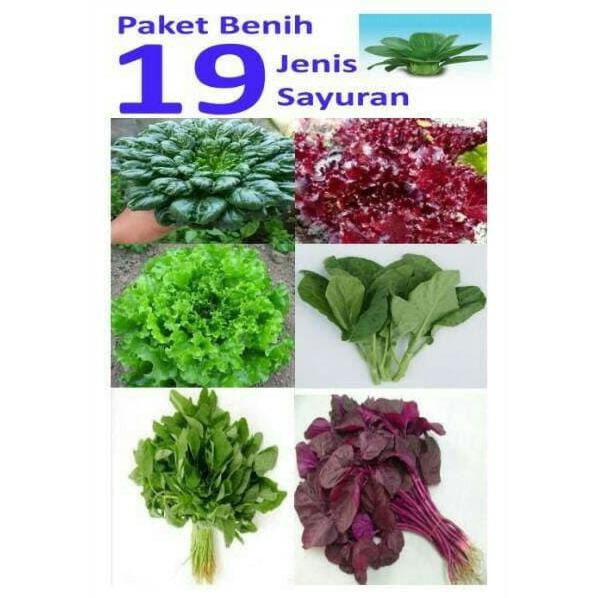 Jual paket 19 benih sayur dan buah | Shopee Indonesia
