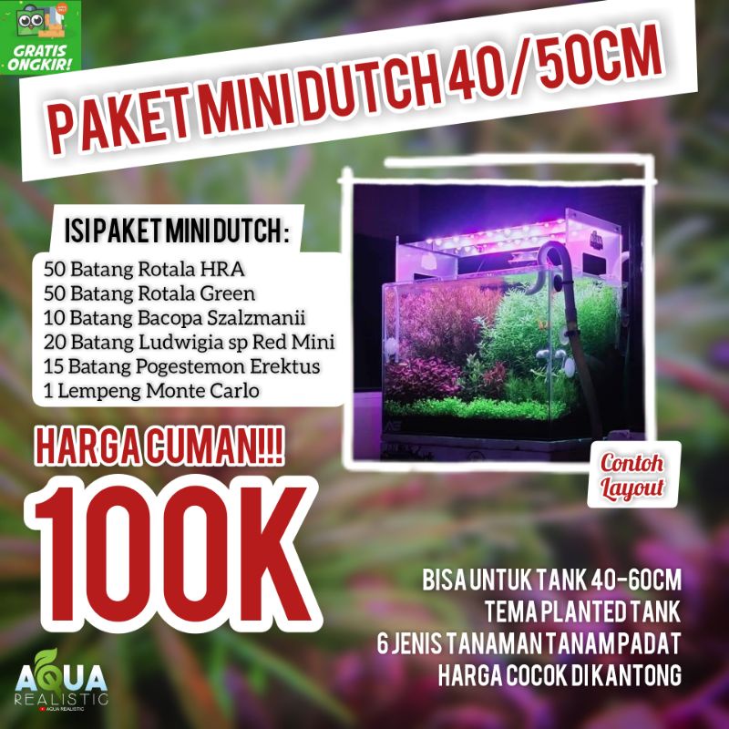 Jual Paket tanaman Mini Dutch - Tanaman Aquascape | Shopee Indonesia