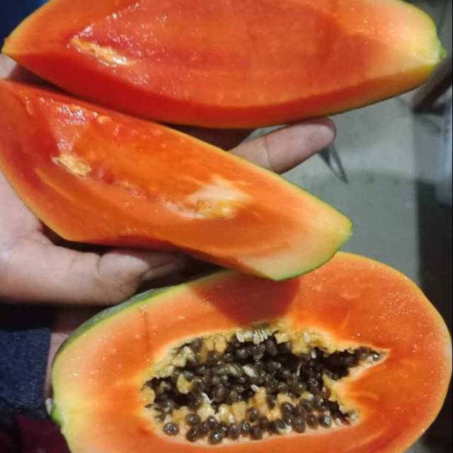 Jual Pepaya manis / buah | Shopee Indonesia