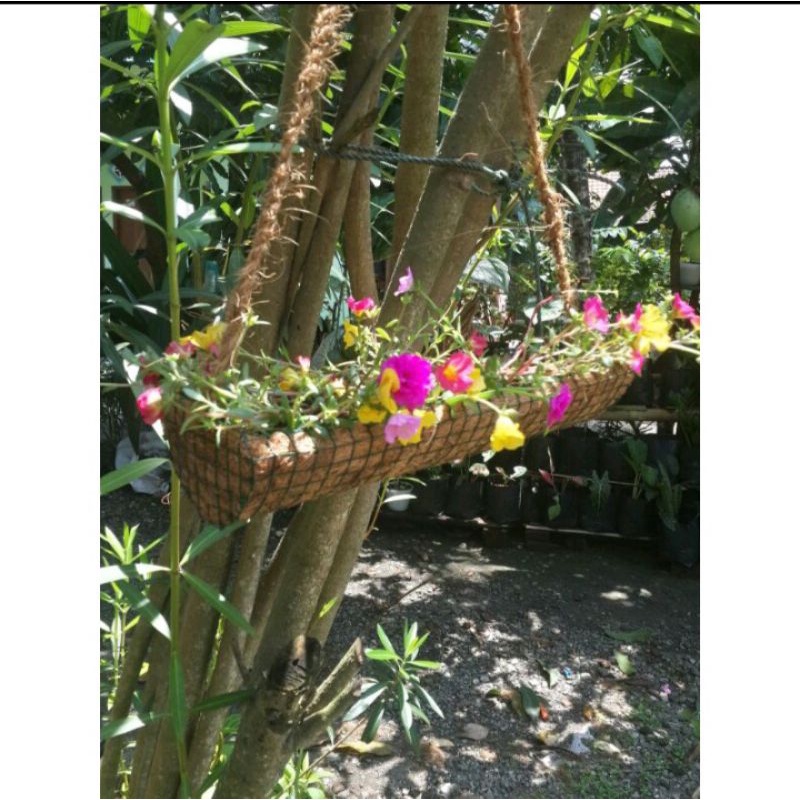 Jual Pot bunga krokot panjang gantung serabut kelapa ukuran panjang 35 ...