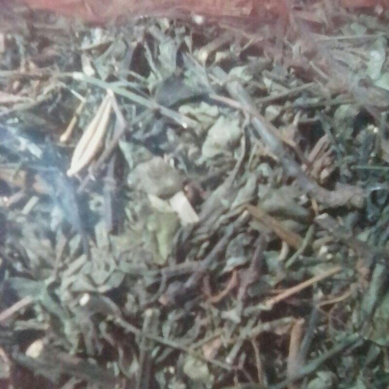 Jual Daun Sambiloto Kering / Sambiroto Kering / Daun Paitan Kering 1 kg ... Jual Daun Sambiloto Kering / Sambiroto Kering / Daun Paitan Kering 1 kg ...