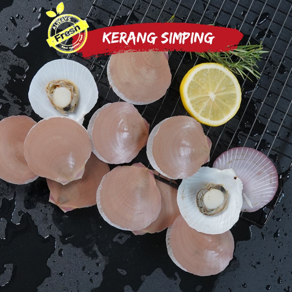 Jual Kerang Simping scallop Frozen | Shopee Indonesia