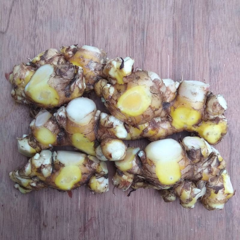 Jual Rimpang Bangle/Panglai Segar (300 Gram) | Shopee Indonesia