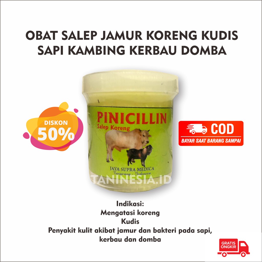 Jual SALEB KORENG, SCABIES, KUDIK, EKSIM, GATAL-GATAL PINICILIN SALEP ...