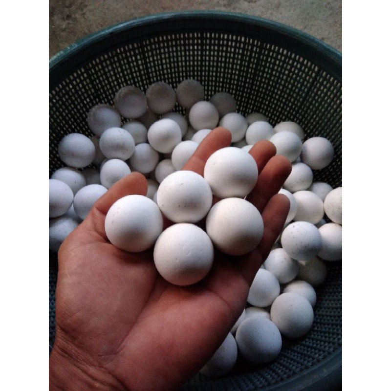 Jual Batu Tidar Kentos Kelapa Dimensi 35mm | Shopee Indonesia