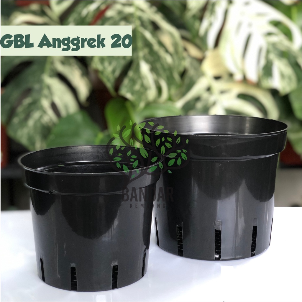 Jual Pot GBL Anggrek 20 Warna Hitam - Pot Bunga Anggrek GBL 17 Hitam ...