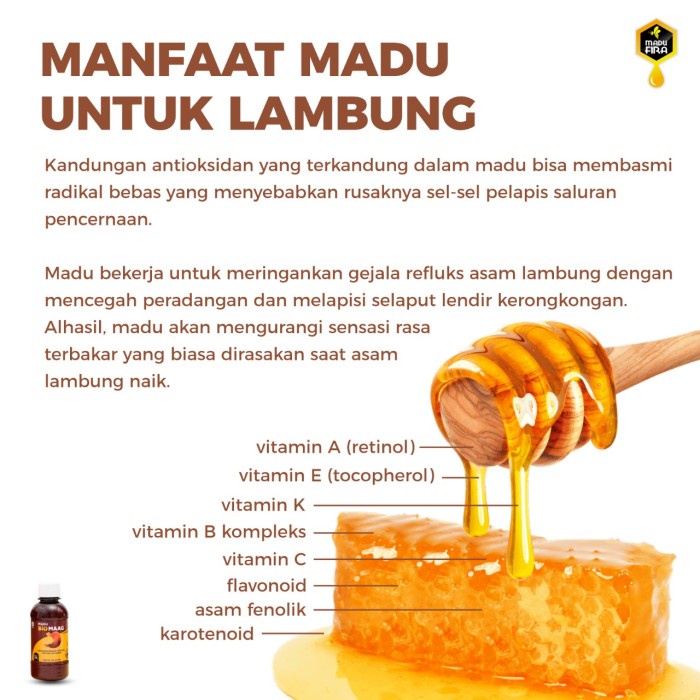 Jual MADU BIOMAAG BIO MAAG - BIOMAG HERBAL PAKAR MAAG GERD & ASAM ...