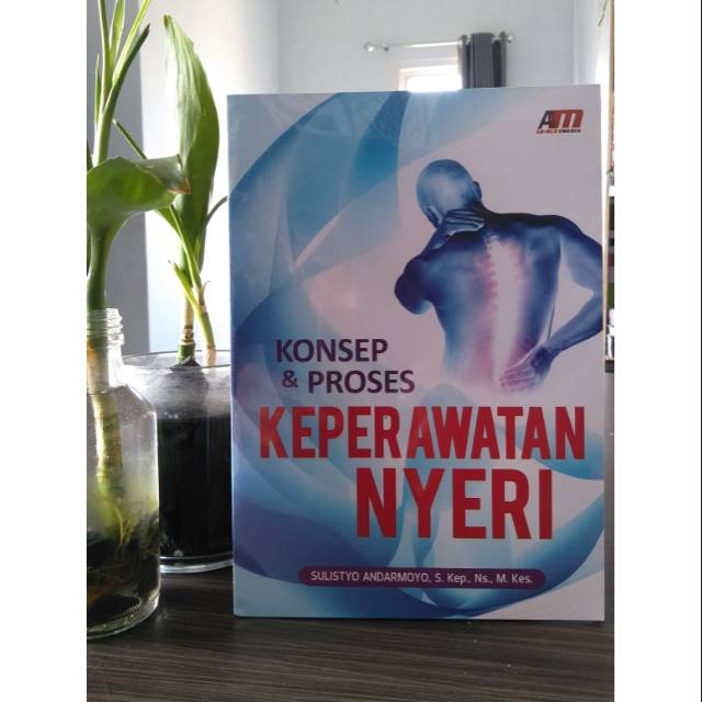 Jual Konsep & Proses Keperawatan Nyeri - Sulistyo Andarmoyo | Shopee ...