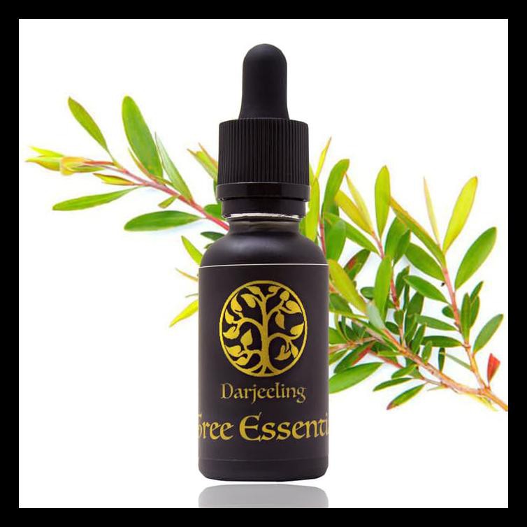 Jual 30ml Tea Tree Essential Oil Minyak Tea Tree 100% Murni TERJAMIN ...
