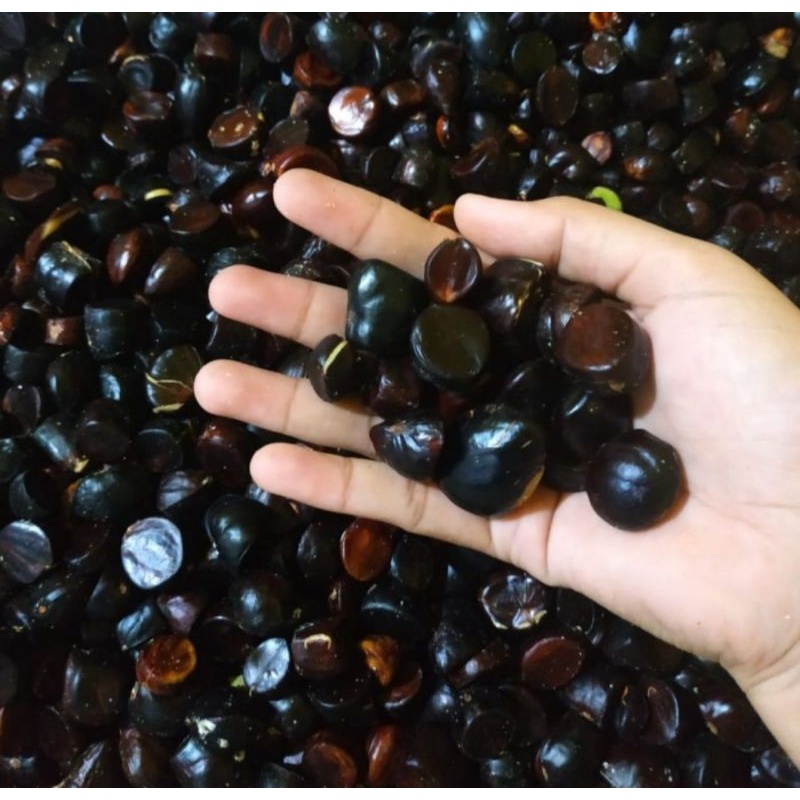 Jual Buah Kabau Buah Jering Saudaranya Jengkol Julang Jaling Lalapan ...