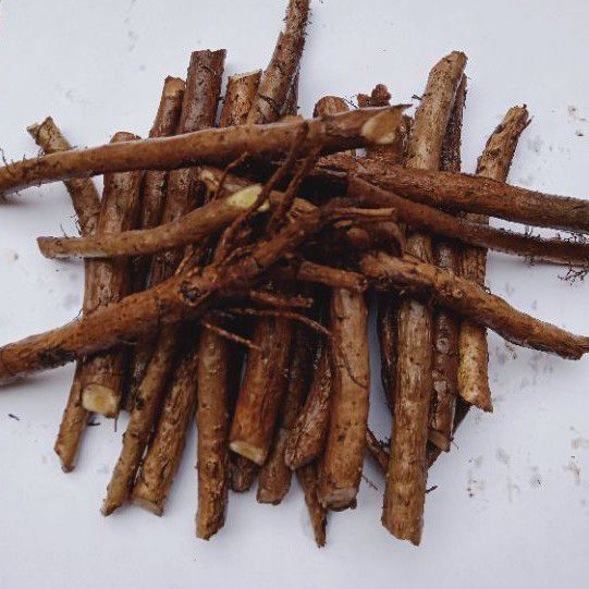 Jual Akar pohon pisang wulung/Musa.250 gram segar | Shopee Indonesia