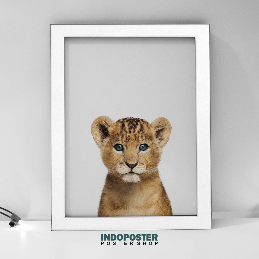 Jual Poster Hewan Binatang Lucu Cute Animal Anak Singa | Shopee Indonesia