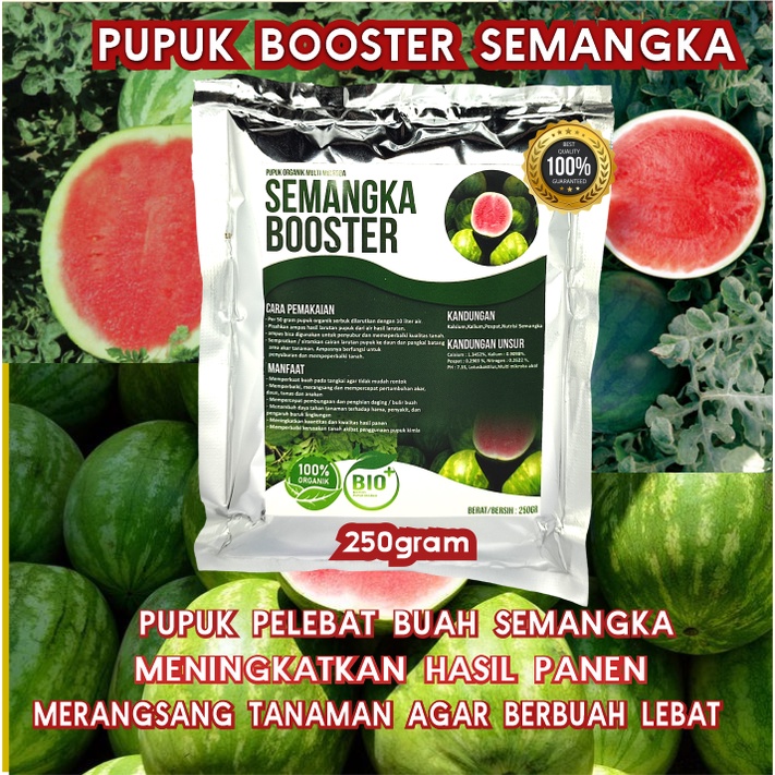 Jual Pupuk Organik Pelebat Booster Semangka Perangsang Buah Semangka, Pupuk Pelebat Buah ...