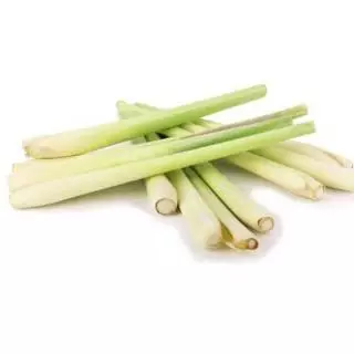 Jual Daun Serai Terlengkap & Harga Terbaru Juni 2024 | Shopee Indonesia