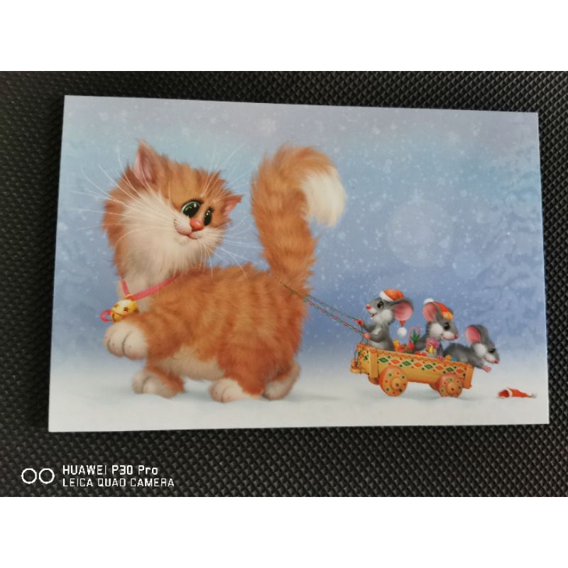 Jual kartu poa kucing dolotov/dolotov cat postcard | Shopee Indonesia