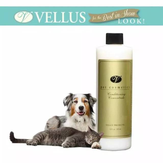 Jual Vellus Shampoo Concentrate 12 oz 355ml | Shopee Indonesia