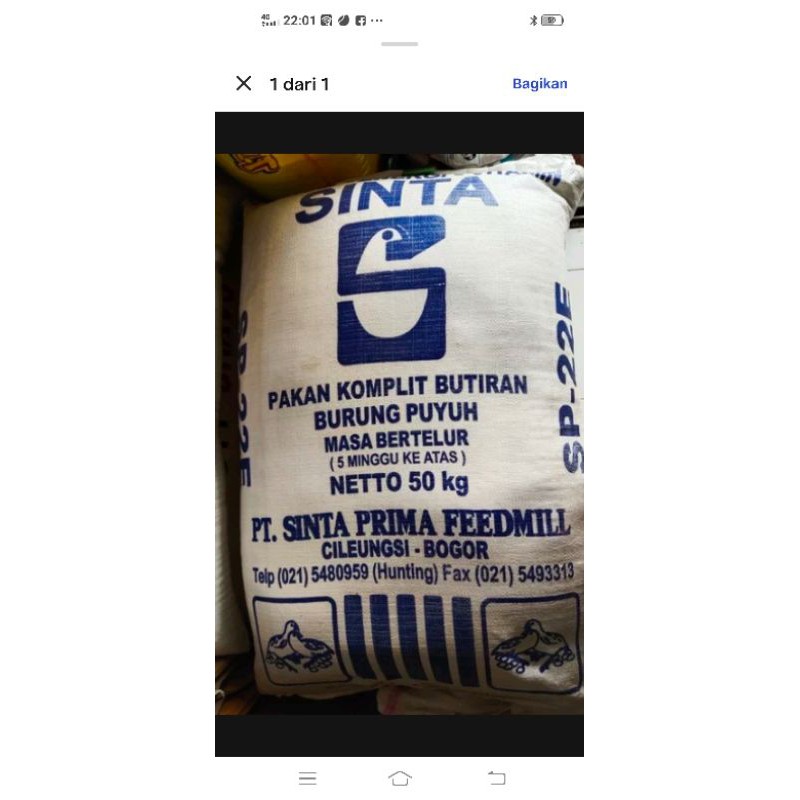 Jual pakan khusus burung puyuh petelur | Shopee Indonesia