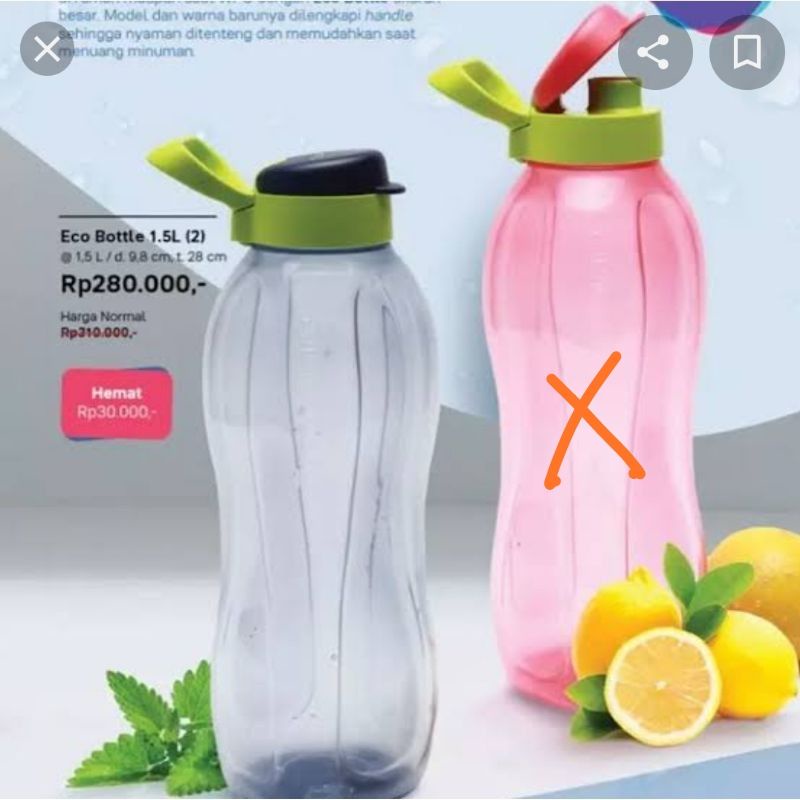 Jual Eco Bottle Tupperware | Shopee Indonesia