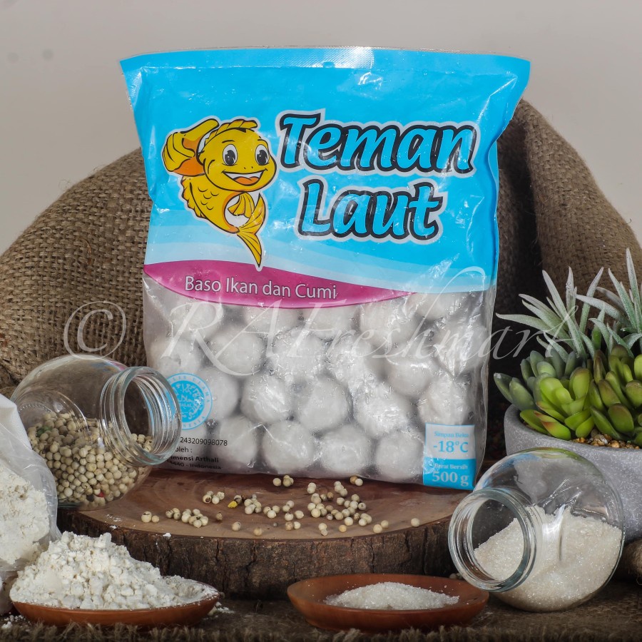Jual TEMAN LAUT BASO IKAN DAN CUMI 500GR | Shopee Indonesia